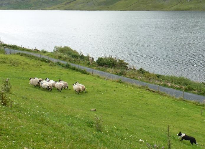 Ireland Small Guided Vacation - 8 Nights, Dublin & More | Authentic ...