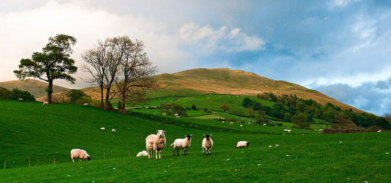 The Top Ten Scenic Drives in England - Authentic Vacations